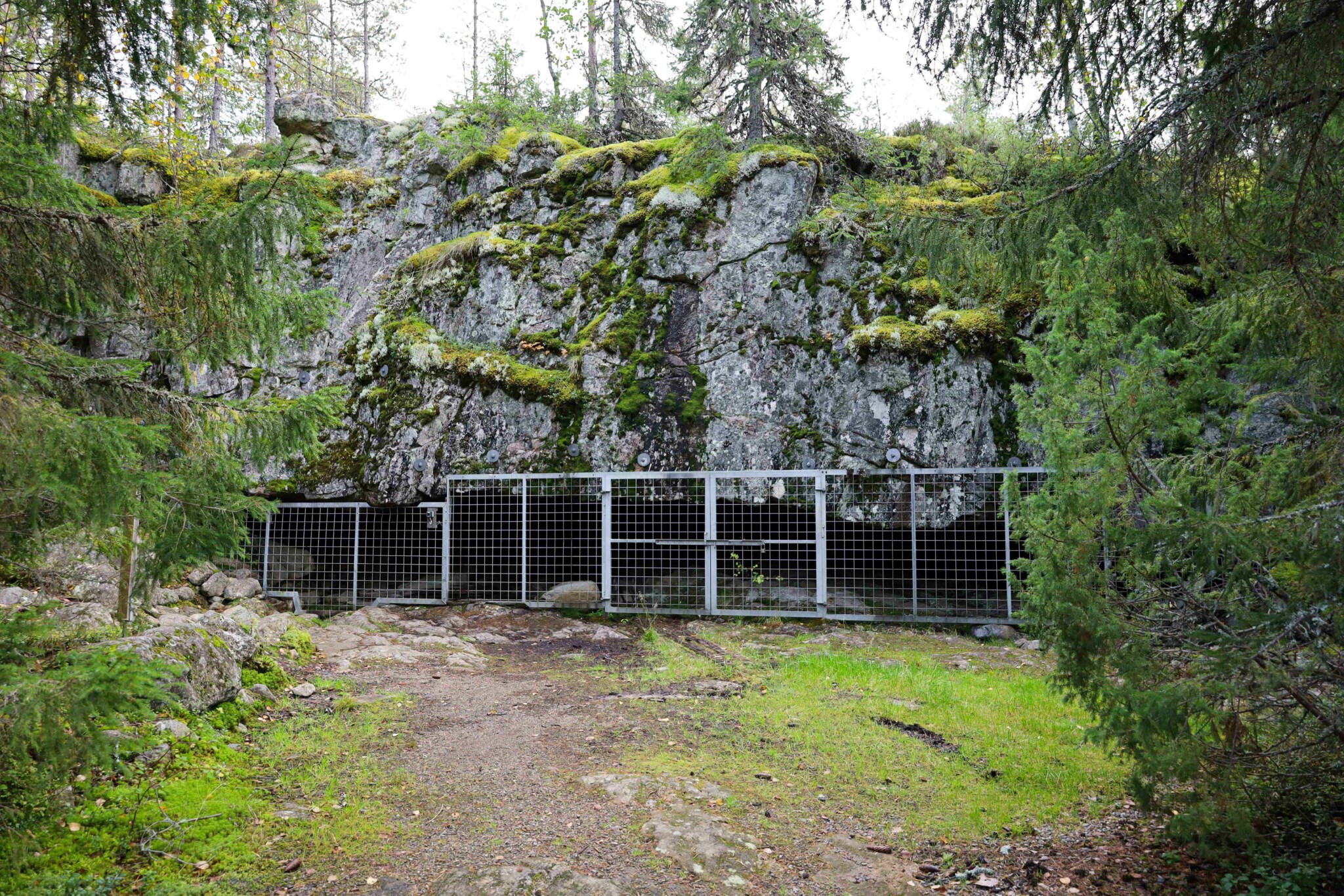 Susiluolan polku - Visit Seinäjoki Region