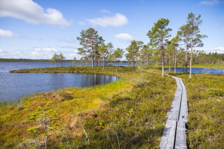 Luonto-opastukset & elämykset Seinäjoella ja Etelä-Pohjanmaalla